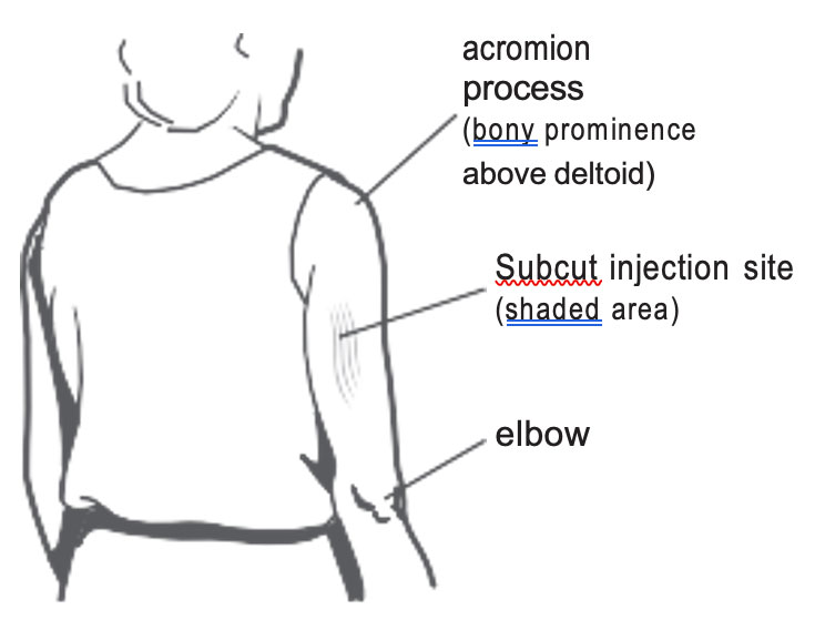Vaccine Administration | Clinician’s Handbook for Childhood & Adult ...